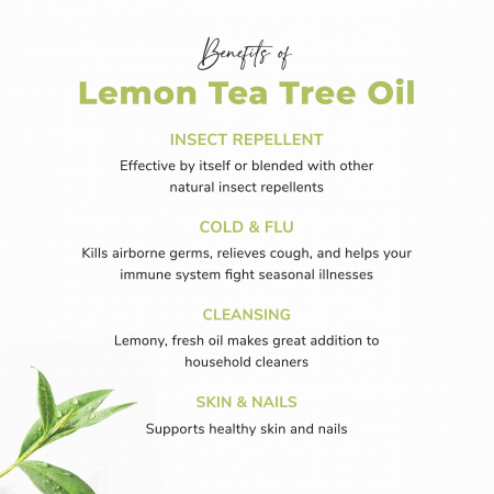 Lemon Tea Tree Essential Oil - Leptospermum petersonii