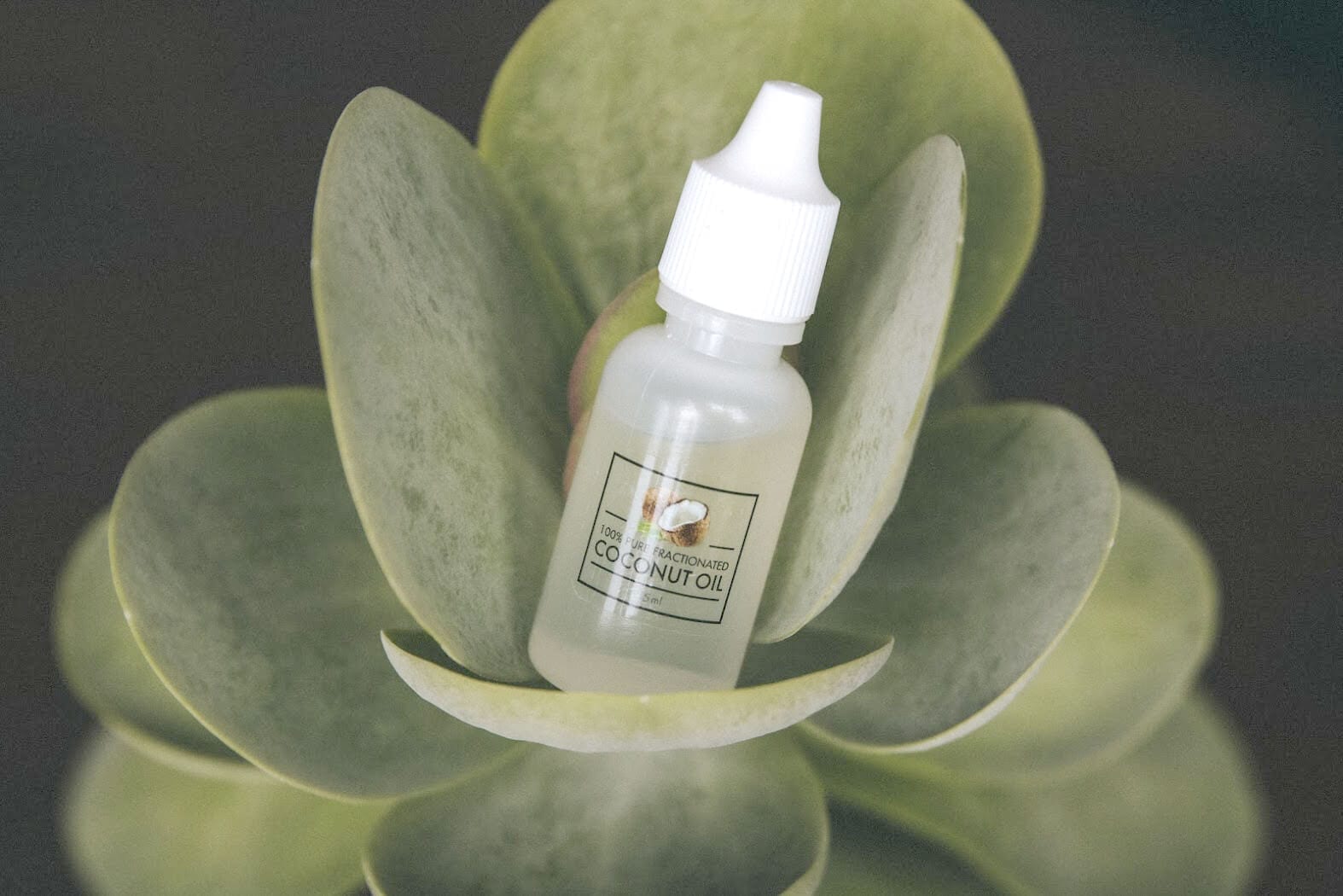 Fractionated Coconut Oil - Davina Wellness